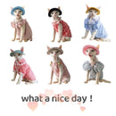 Adjustable Travel Sunscreen Cat Hat | sphynx for cat | cats sphynx ...