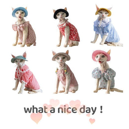 Adjustable Travel Sunscreen Cat Hat | sphynx for cat | cats sphynx ...