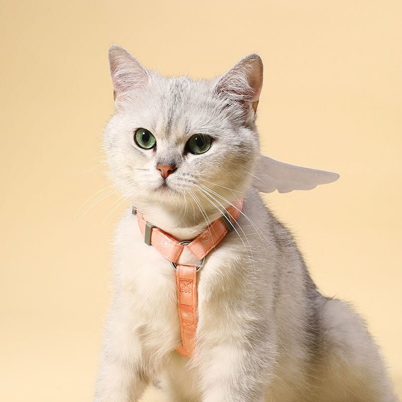 Sweet Angel Wing Cat Strap Harness | Adjustable, Cute, Secure Vest ...