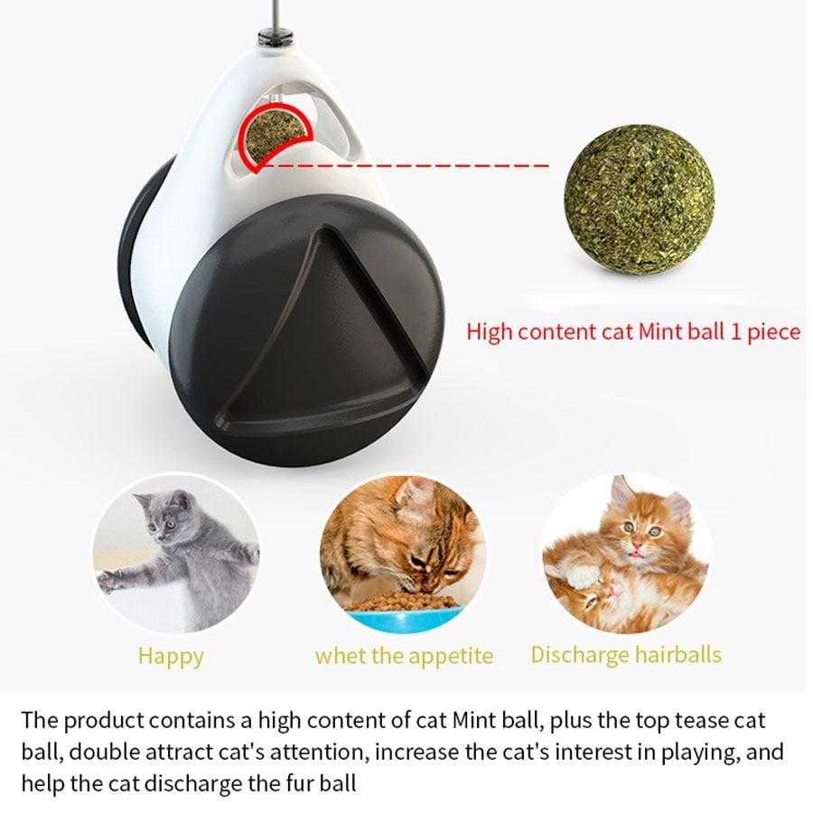 Smart Catnip Wheel Toy for Cats | Interactive Stress-Relief Play ...