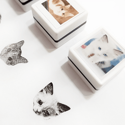 Personalized Cat Portrait Stamp | Custom Pet Keepsake – CatCurio Pet Store