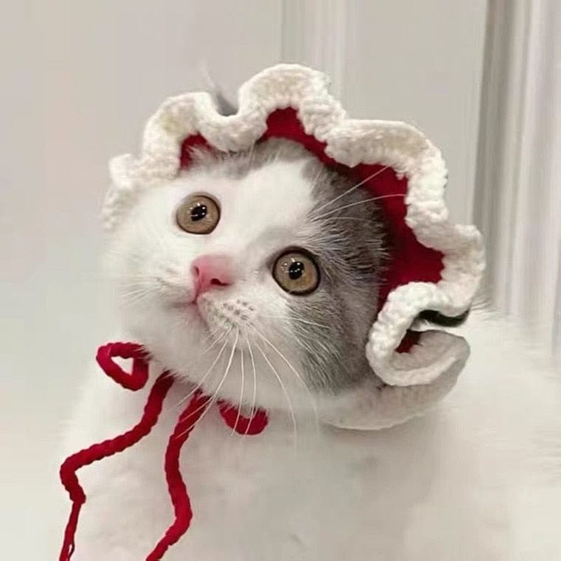 Adjustable Knitted Cute Cat Hat | Cozy Winter Accessory for Stylish ...